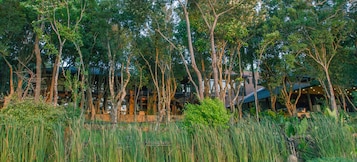 Um edifício rodeado por árvores densas e grama alta.
