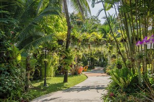 Jardim