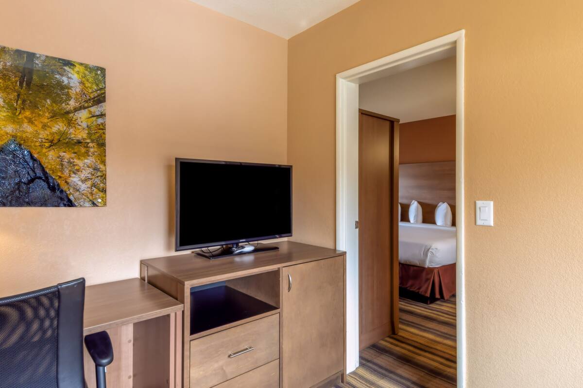 Quarto de hotel com televisão em móvel de madeira, quadro na parede e vista para o quarto adjacente.