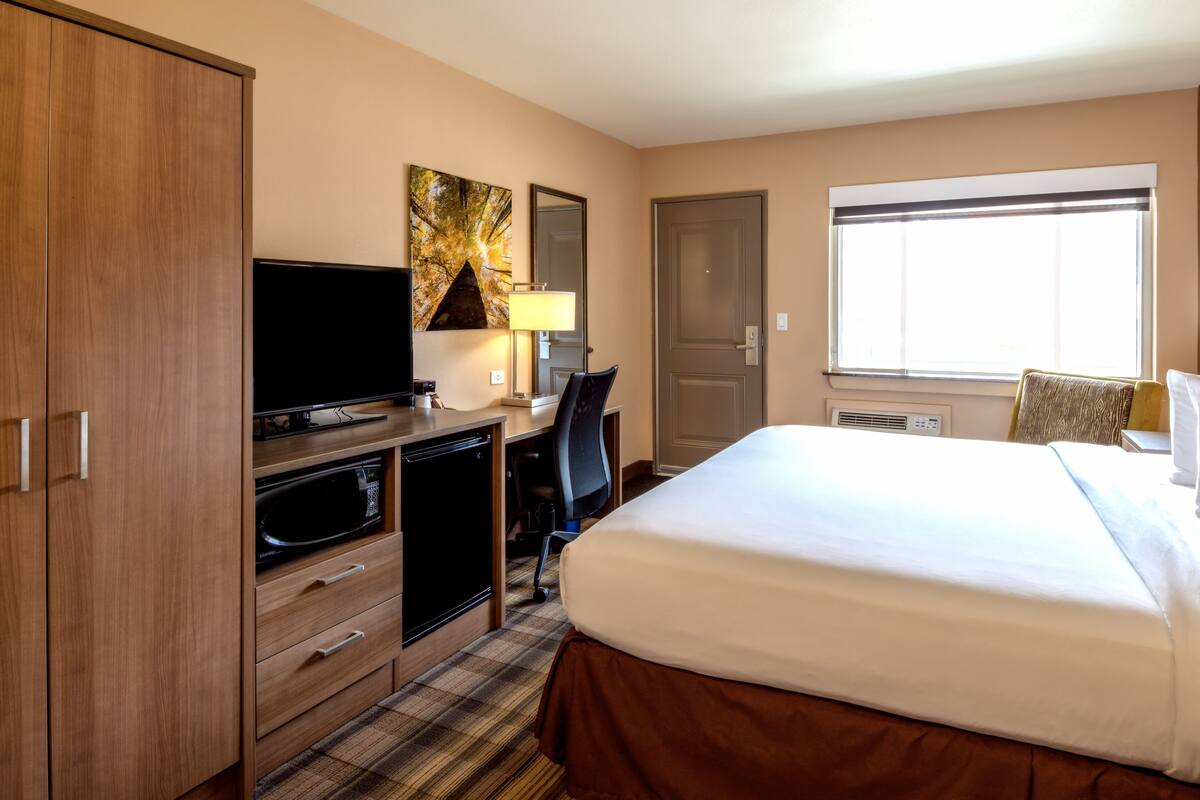 Quarto de hotel com uma cama, uma escrivaninha com computador, televisão, guarda-roupa, janela com persianas e um quadro na parede.