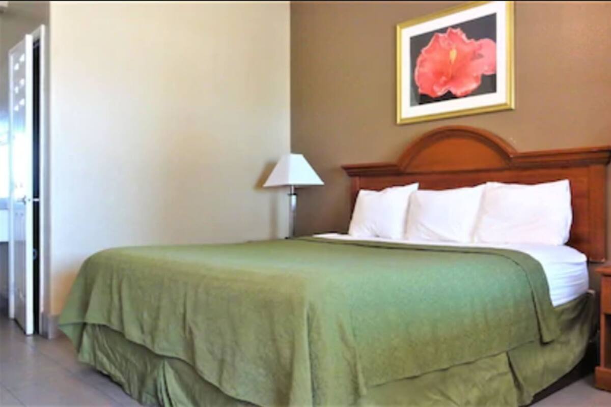 Quarto Standard, 1 cama king-size | Roupa de alta qualidade, ferro/tábua de engomar, Wi-fi grátis 