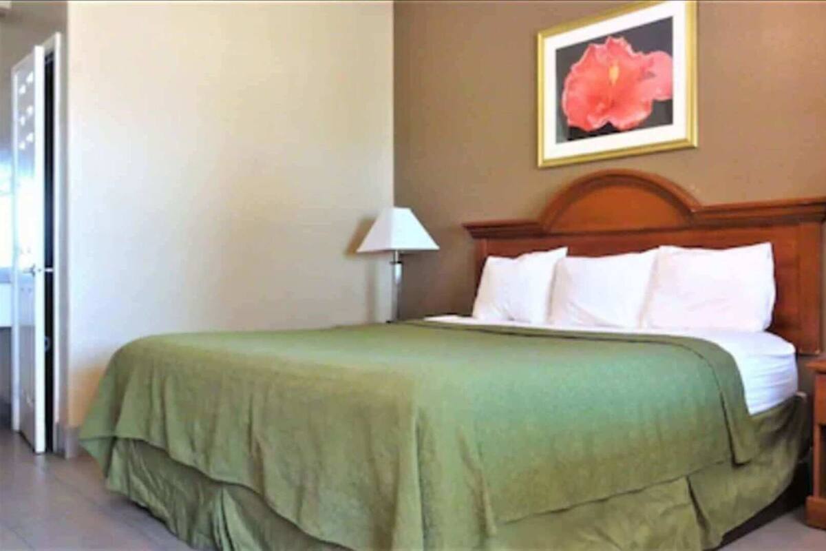 Quarto de hotel com cama, duas luminárias de cabeceira, mesa de cabeceira, cabeceira de madeira, colcha verde e um quadro na parede.