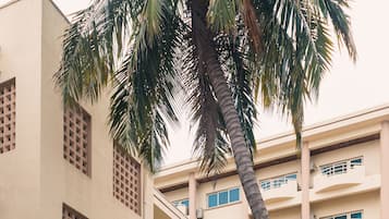 2 piscinas externas, guarda-sóis, espreguiçadeiras
