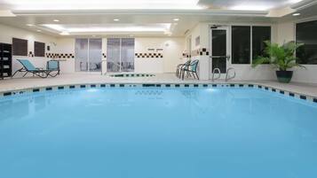 Piscina interna com espreguiçadeiras, banheira de hidromassagem e um vaso de planta.