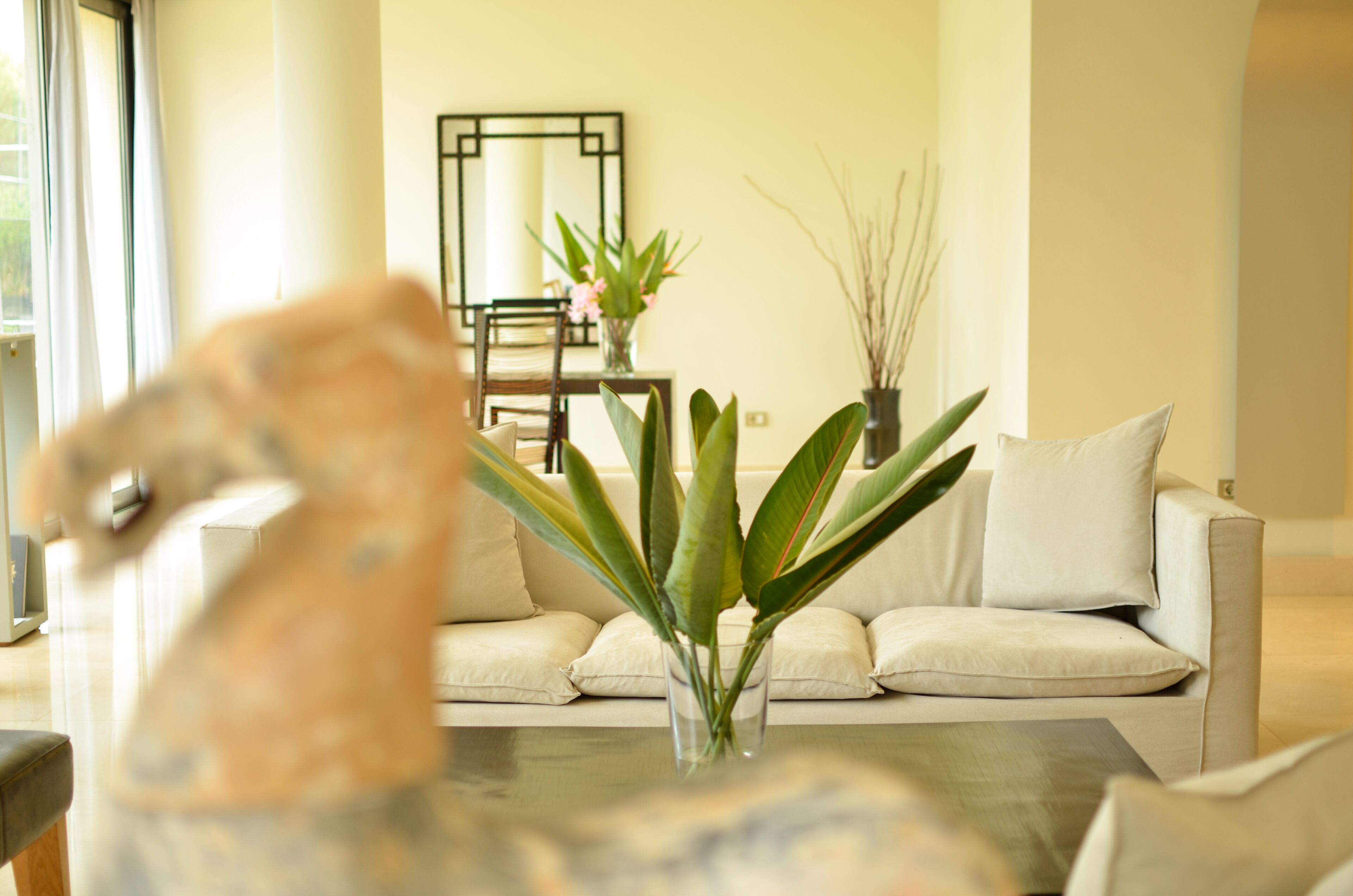 Uma sala de estar com um sofá, uma mesa de centro e um vaso com plantas verdes.