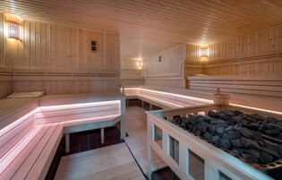 Sauna seca