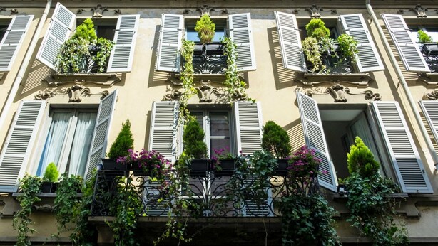 Um edifício com várias janelas, algumas com persianas, e varandas com plantas e flores.