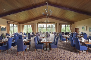 Opções para refeição em família