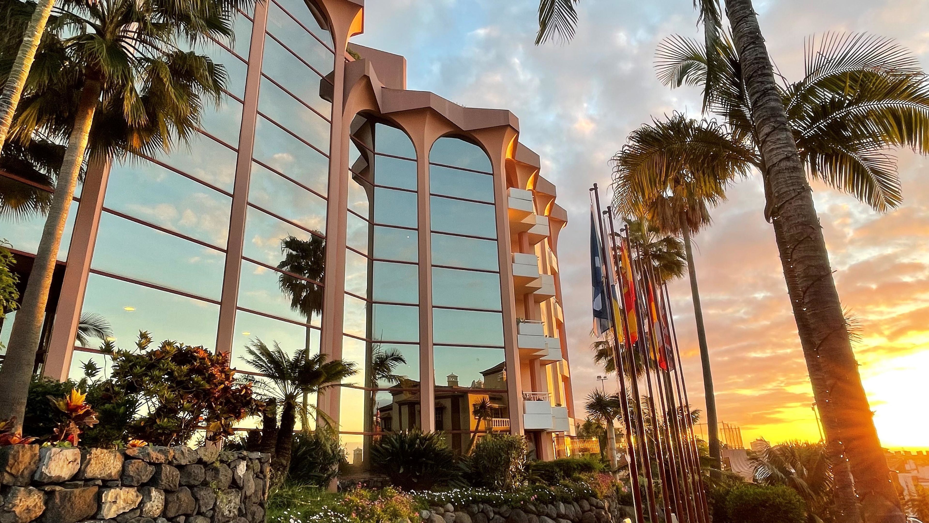 Hotel moderno com fachada de vidro, base de pedra e uma palmeira em primeiro plano.