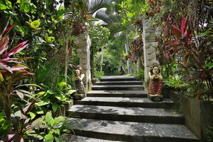 Jardim