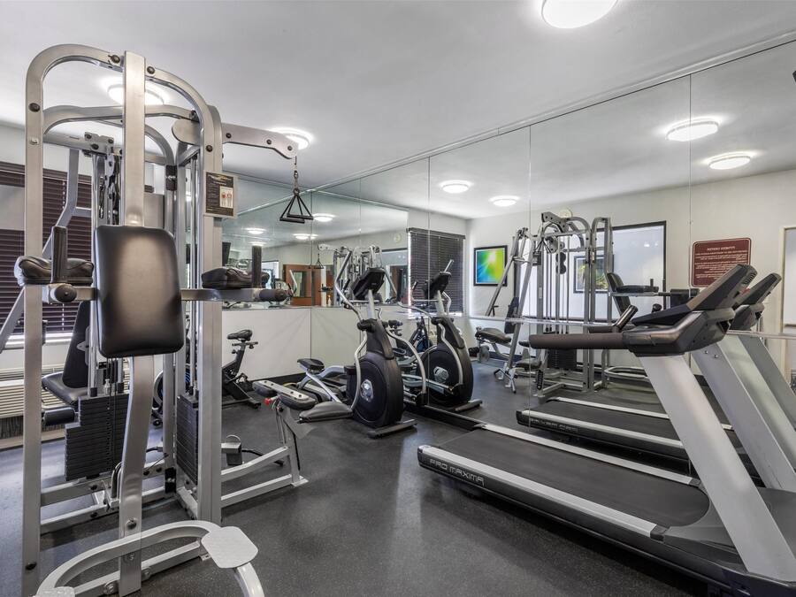 Uma academia com equipamentos de cardio, aparelhos de musculação e espelhos.