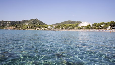 Perto da praia, praia de areia branca, 2 bares na praia . Canyamel Park Hotel & Spa - Adults Only