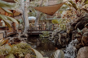 Um jardim interno com fonte, área de estar e plantas tropicais.