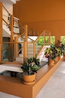 Escadas