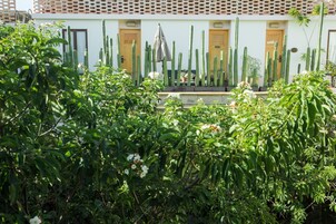 Um edifício com várias portas, rodeado por cactos e plantas diversas.