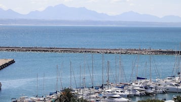 Vista da propriedade