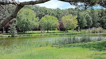 Lago