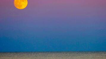 Mar iluminada pela lua com a silhueta de uma baleia.