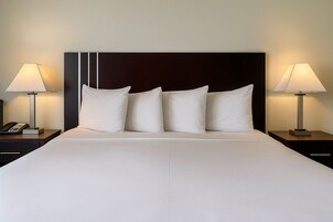 1 quarto, escrivaninha, cortinas blackout, ferros/tábuas de passar roupa