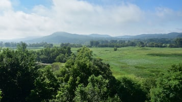 Vista panorâmica de uma paisagem verdejante, com árvores densas em primeiro plano e colinas onduladas ao fundo, sob um céu parcialmente nublado.