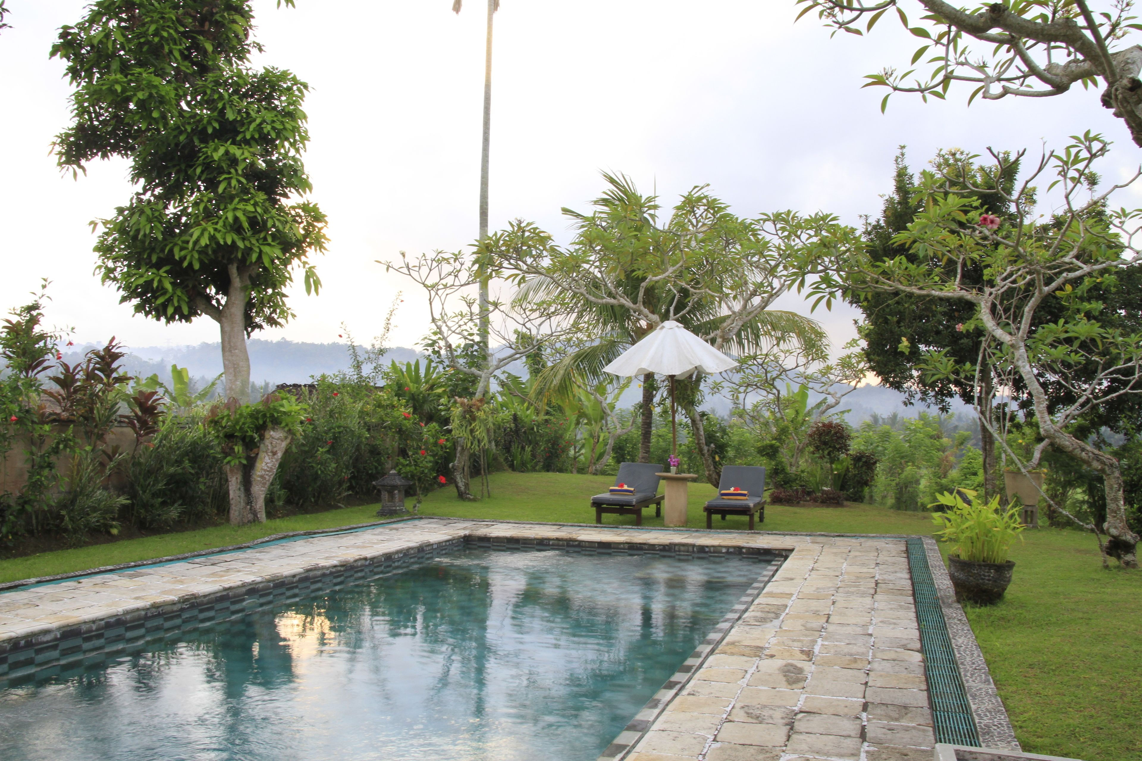 Piscina retangular com borda de pedra, rodeada por vegetação exuberante e duas espreguiçadeiras com guarda-sóis.