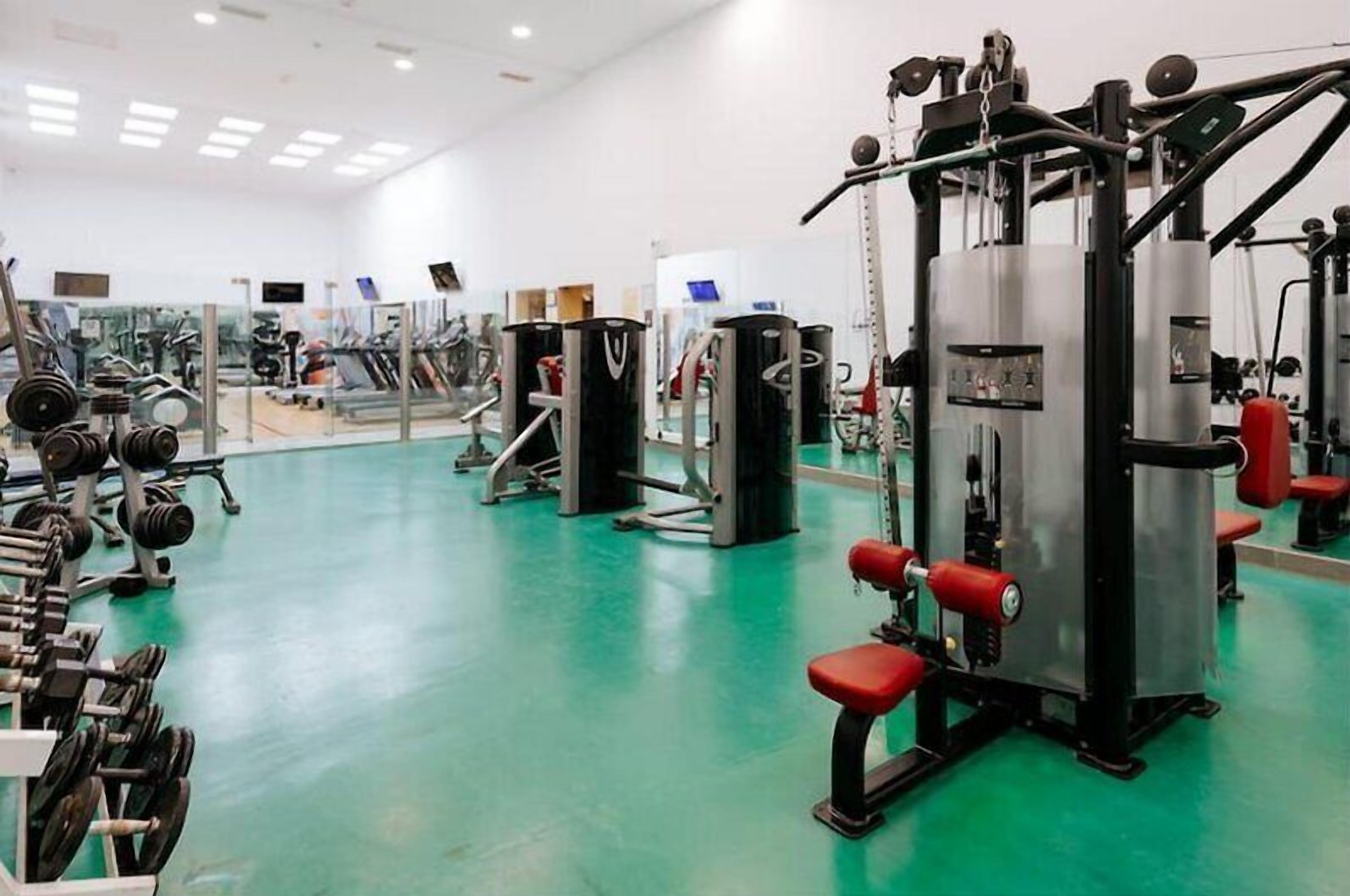 Uma academia com diversos equipamentos de exercício, incluindo halteres, um banco e máquinas de peso.