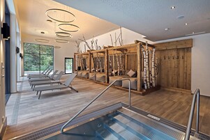 Sauna seca, banheira de hidromassagem, sauna a vapor