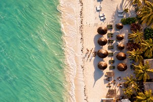 Vista aérea de uma praia com uma fileira de palmeiras, cadeiras de praia e algumas pessoas.