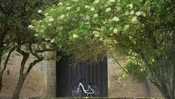 Uma bicicleta estacionada sob uma árvore em frente a um edifício com porta de madeira.