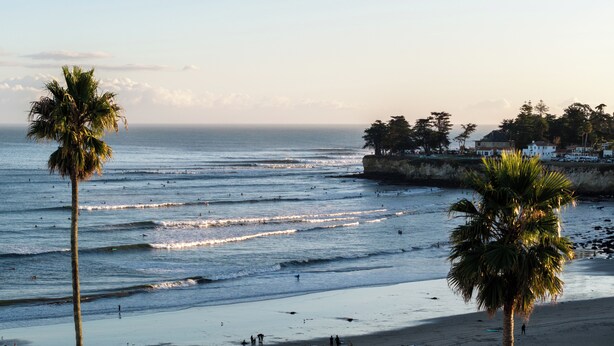 Praia com palmeiras, ondas e uma linha costeira distante com edifícios.
