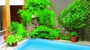 Piscina com parede de pedra e diversas plantas verdes ao redor.