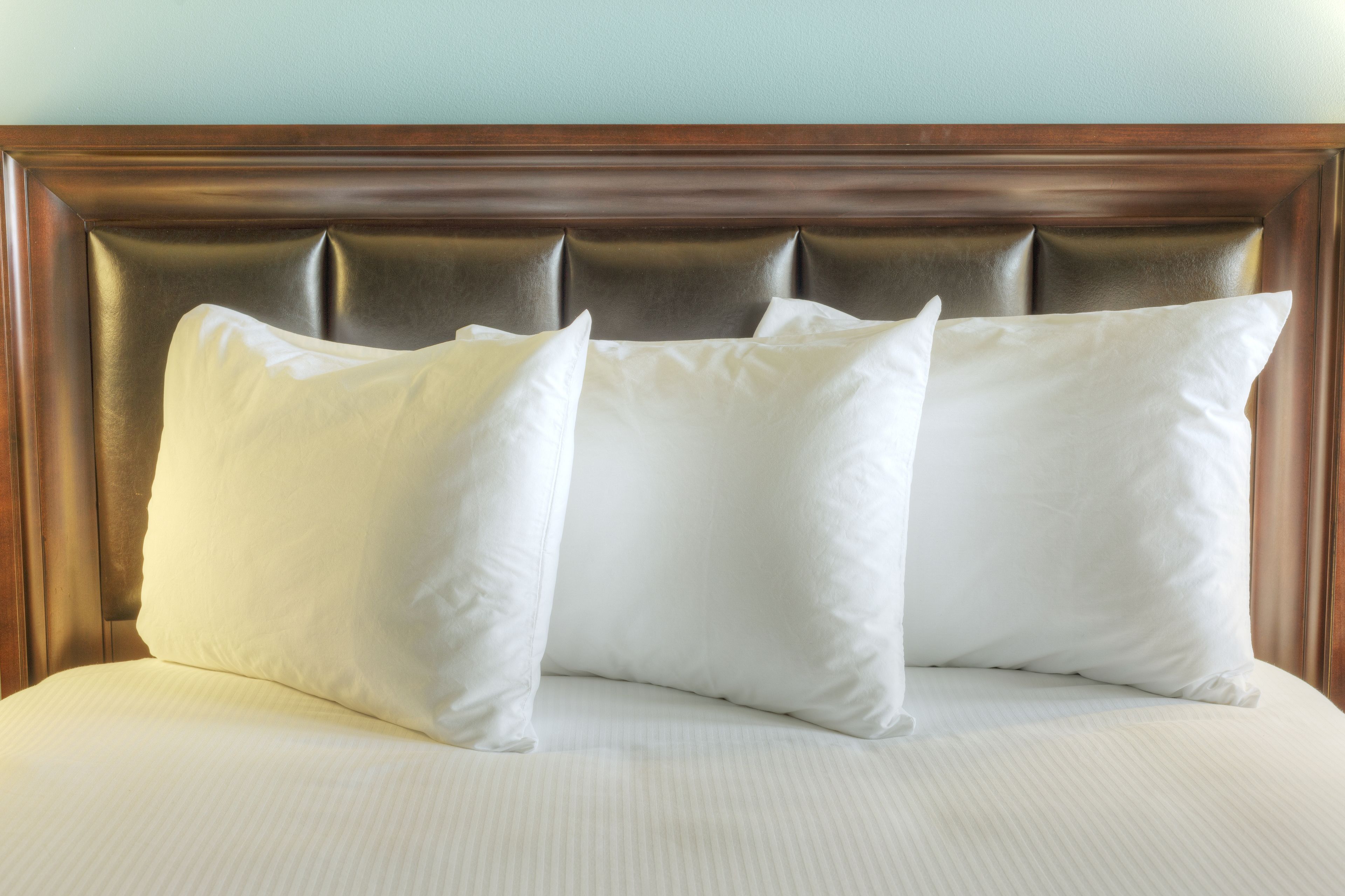 Montvale Hotel Reviews, Deals & Photos 2023 - Expedia