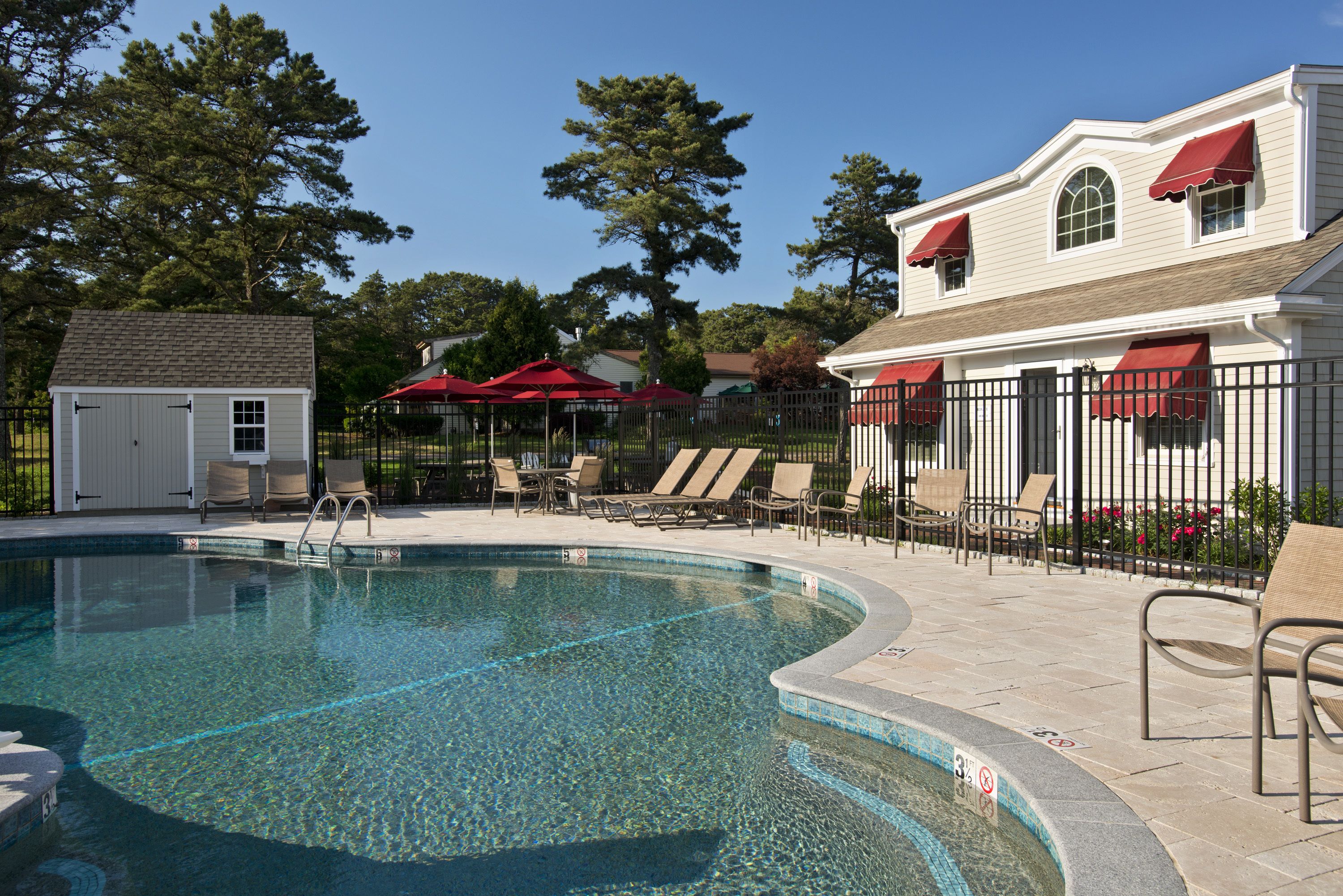 Piscina com espreguiçadeiras e guarda-sóis, cercada por um muro e árvores.