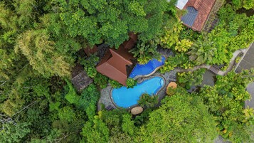 Vista aérea de um jardim particular exuberante com piscina, cercado por folhagem densa e um pequeno edifício.