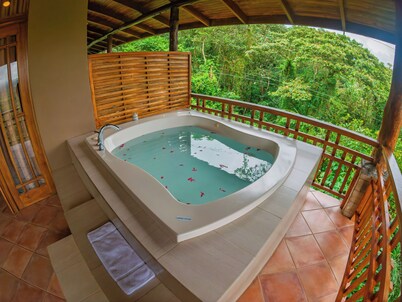 Lost Iguana Resort and Spa