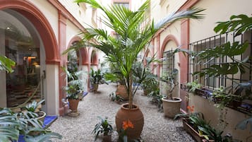 Pátio interior