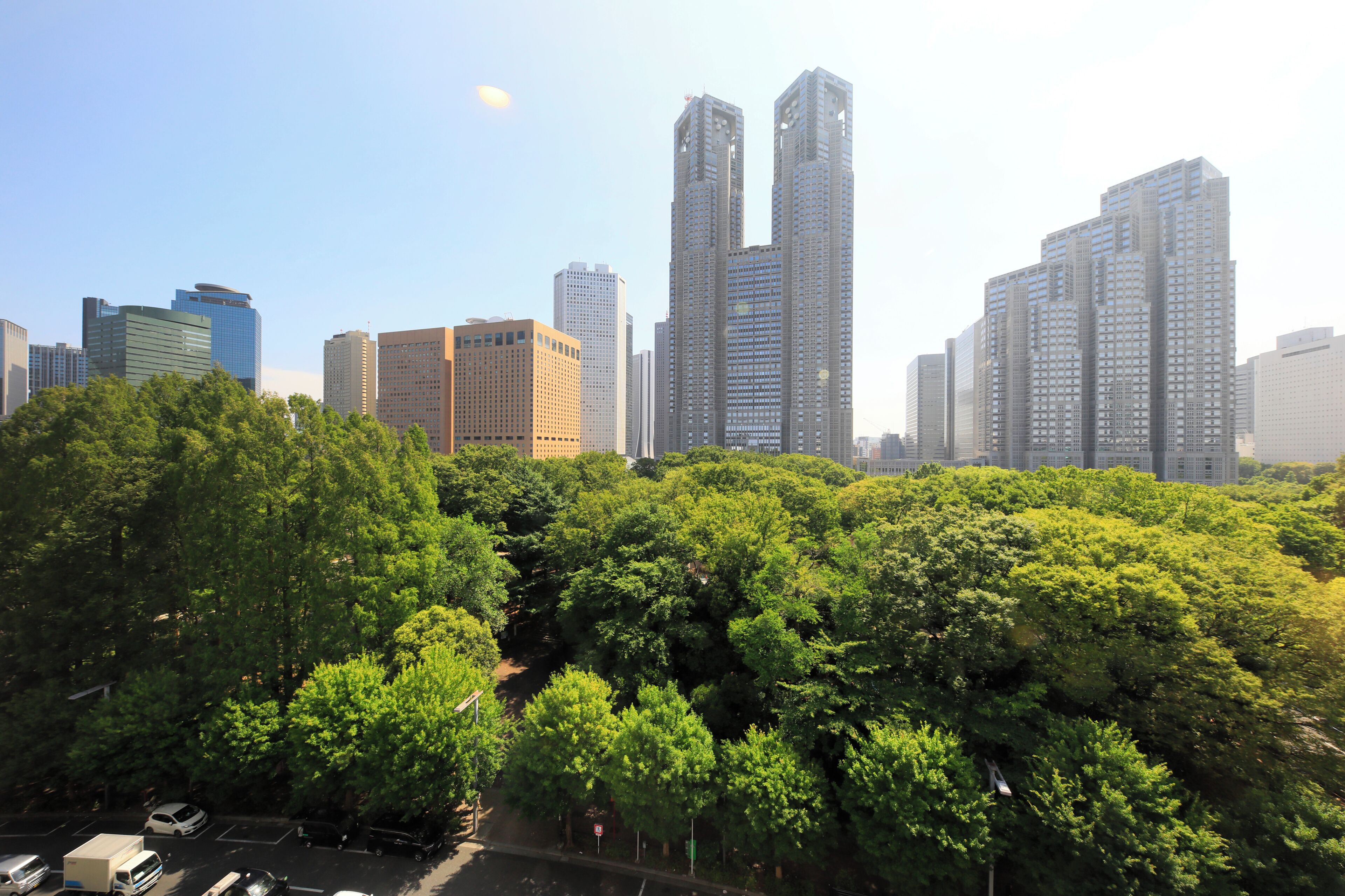 Paisagem urbana com edifícios altos e uma extensa área verde do parque.