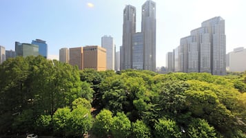 Paisagem urbana com edifícios altos e uma extensa área verde do parque.