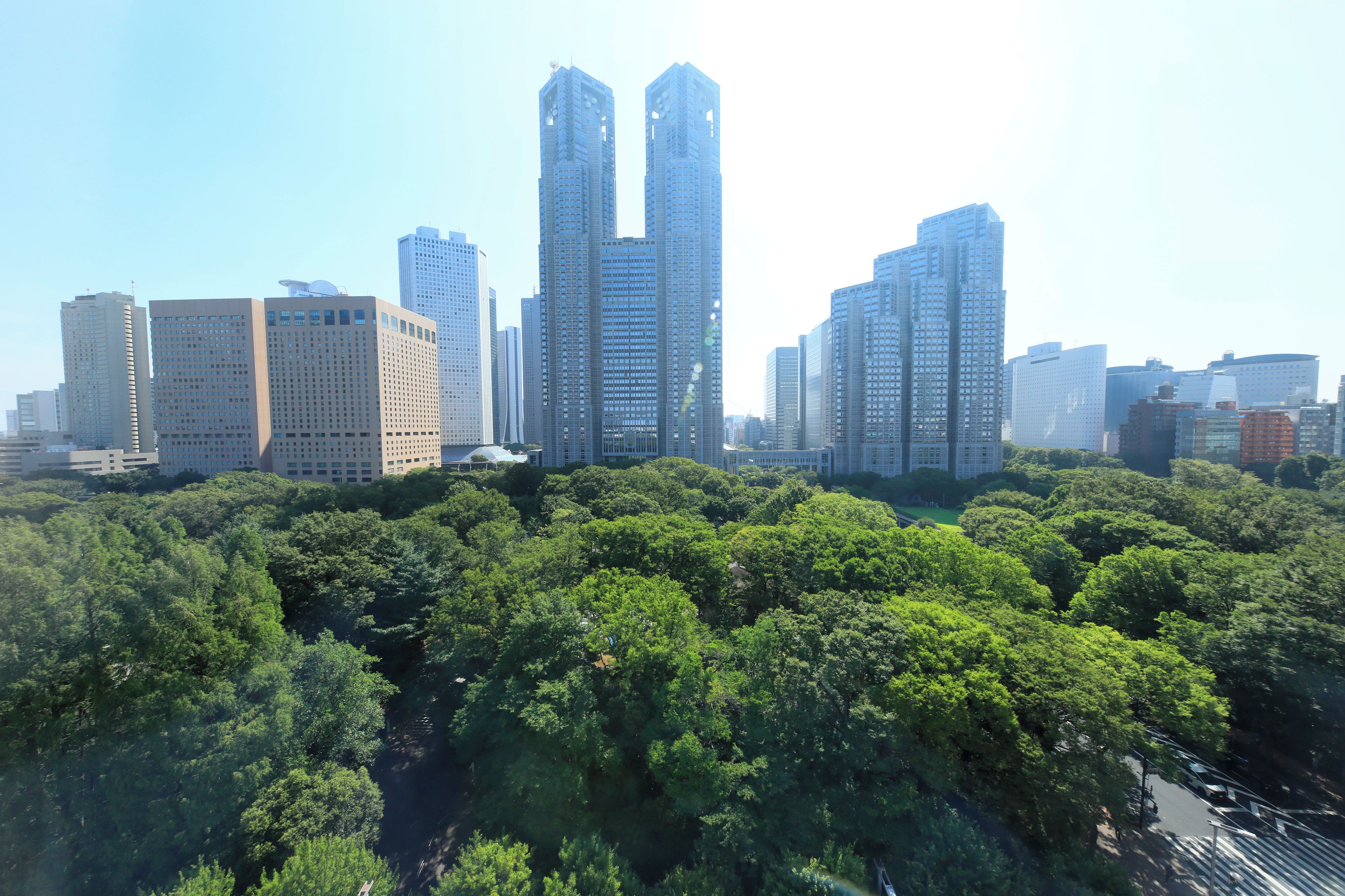 Paisagem urbana com edifícios modernos e altos e uma extensa área verde do parque.