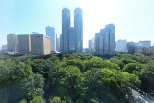 Paisagem urbana com edifícios modernos e altos e uma extensa área verde do parque.