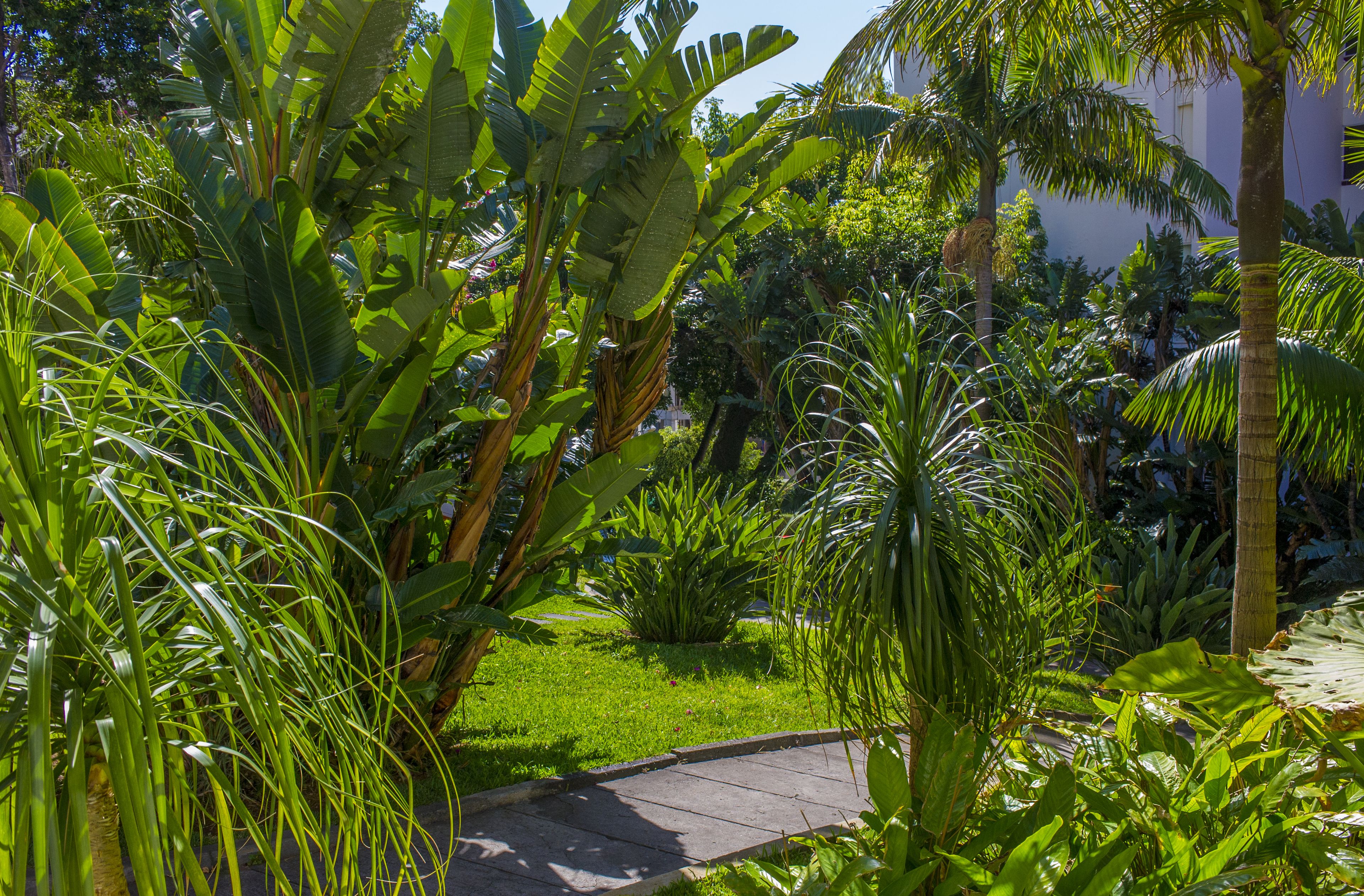 Jardim