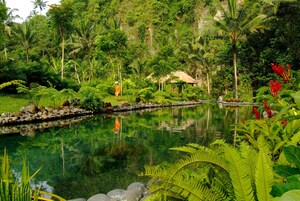 Terrenos do alojamento