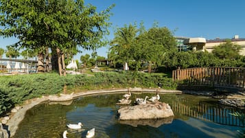 Lago