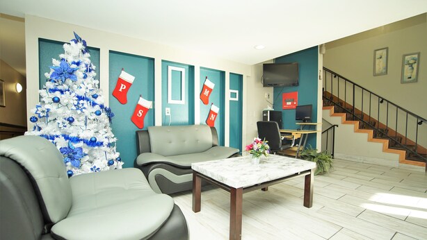 Uma sala de estar moderna com um pinheiro de Natal branco, sofá cinzento e uma mesa de centro com um vaso de flores.