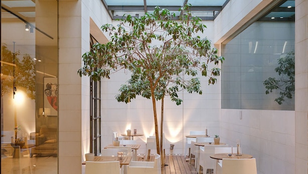 Um pátio interno moderno com piso de madeira, móveis brancos e uma árvore central.