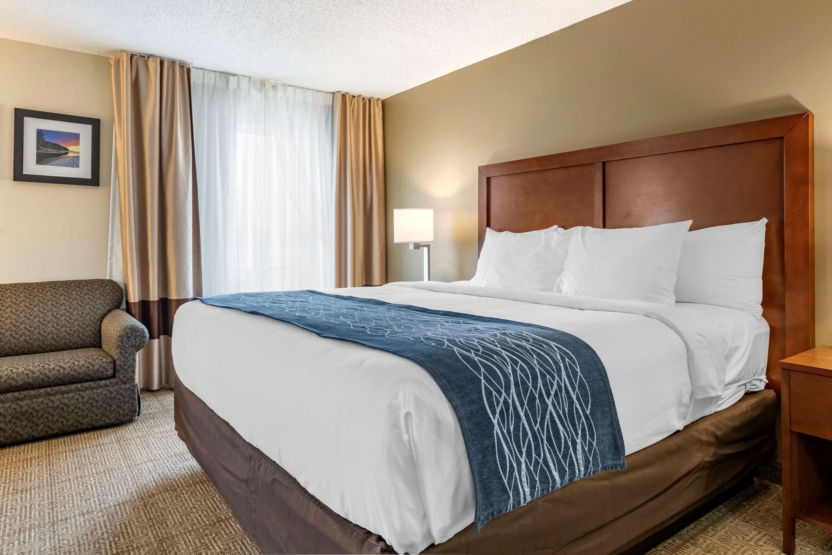 Quarto de hotel com uma cama grande, um sofá, uma luminária e um quadro na parede.