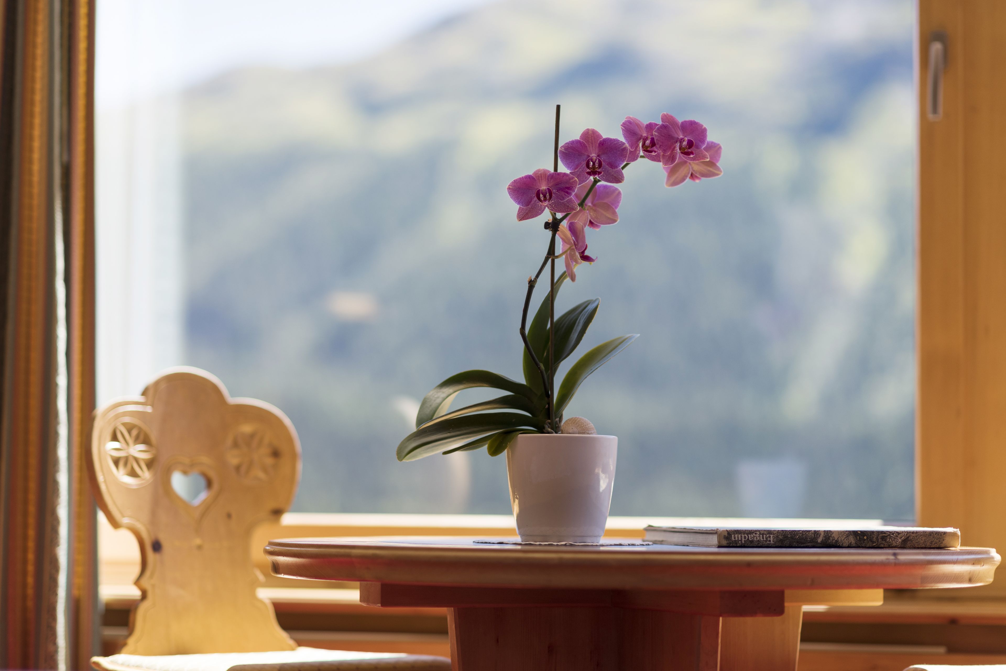 Uma orquídea em vaso sobre uma mesa de madeira, com um livro ao lado, perto de uma janela com vista desfocada para montanhas.