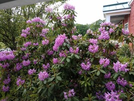 Quarto Familiar, várias camas, acessível | Vista do quarto