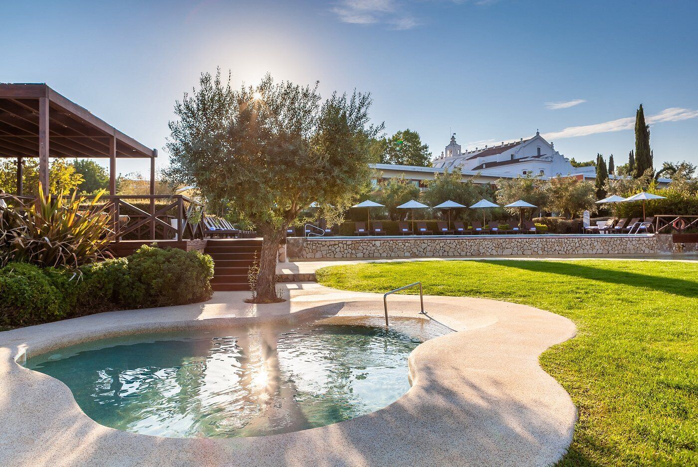 Área da piscina com uma árvore, um espaço de estar coberto e um edifício com fachada branca ao fundo.