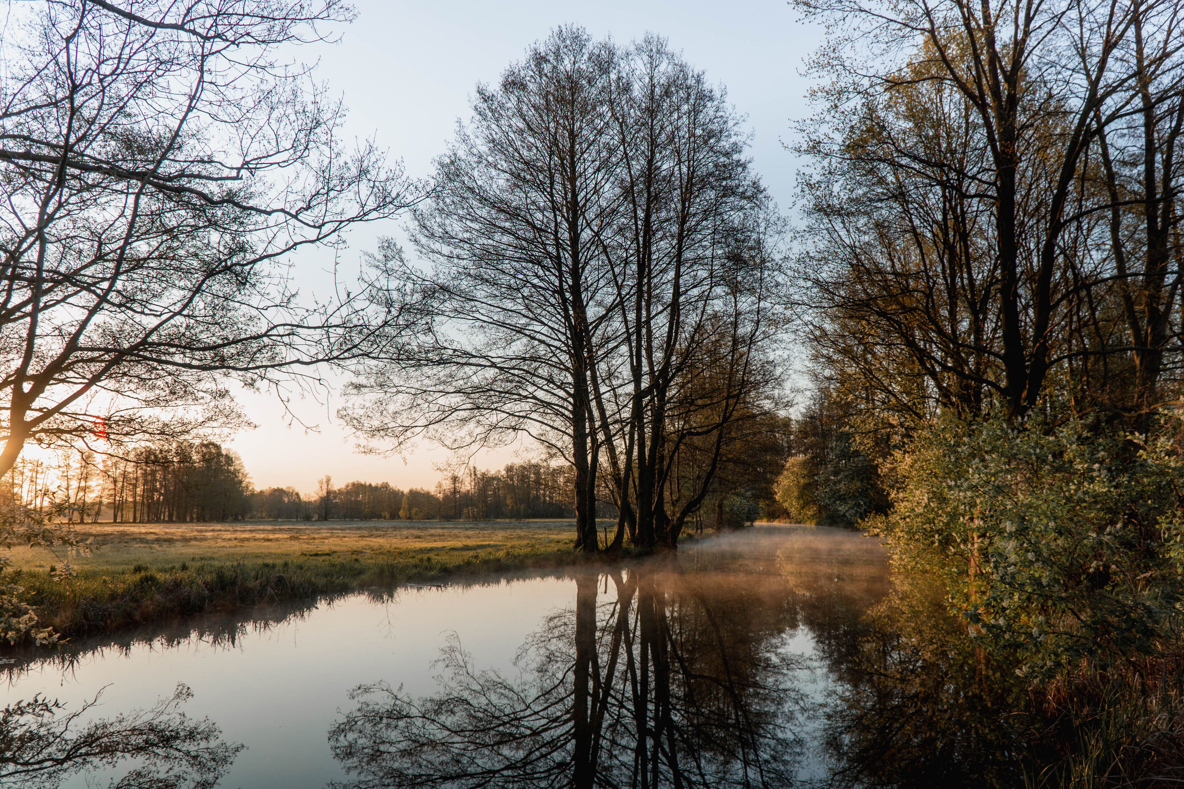 Uma paisagem ribeirinha tranquila com árvores e um corpo d'água calma refletindo o entorno.